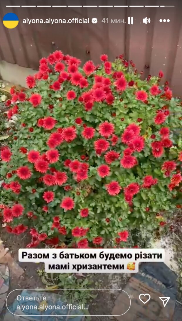 Alyona Alyona похизувалася домашньою полуничкою у батьківському дворі ...